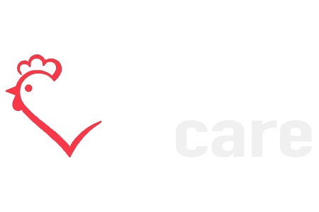 How Feed Intake Patterns Impact Daily Egg Yield in Large Layer Farms